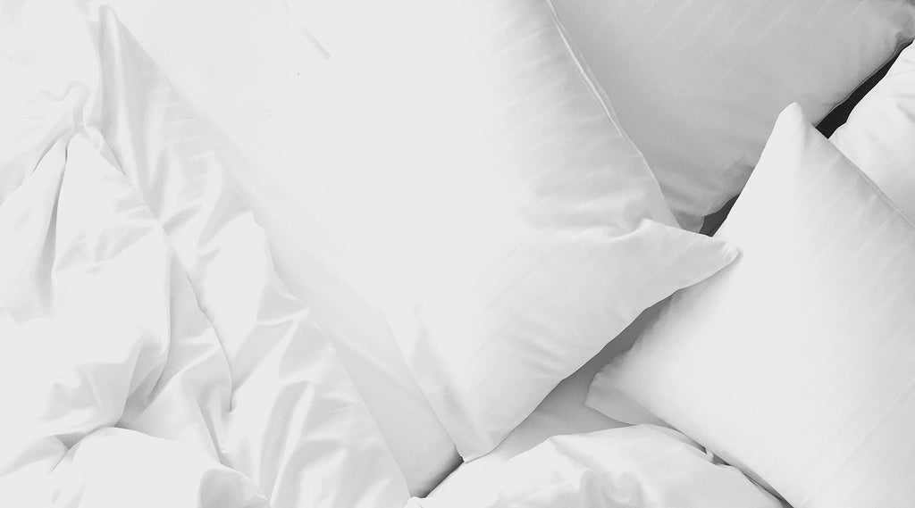 Promagnet Magnetic Therapy made in the USA for over 25 years. – ProMagnet